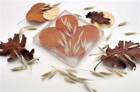 Top Modern Ideas For Kitchen Decorating With Stylish Wall Tile Designs