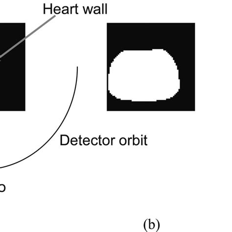 Computer Generated Ncat Phantom Used In 2d Computer Simulations The