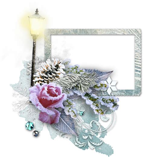Forgetmenot Frames
