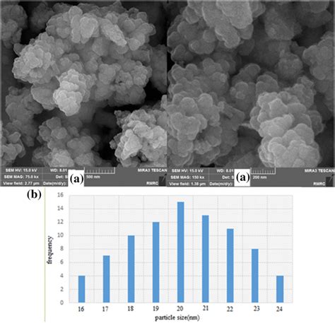 FE SEM Image Of The Fe O SiO Pr Sulfurol SO H Download Scientific Diagram