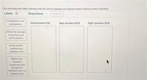 Solved Click And Drag Each Label Placing It Into The Chegg Com