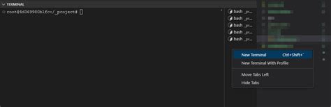 The Button To Create A New Terminal In VS Code Has Disappeared How Can I Add It Back Stack