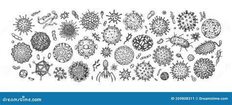 Viruses Types Set Of Vector Images Coronavirus