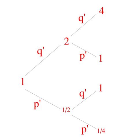 2 Markov Chain Showing Risk Neutral Measure Movement In 2 Step