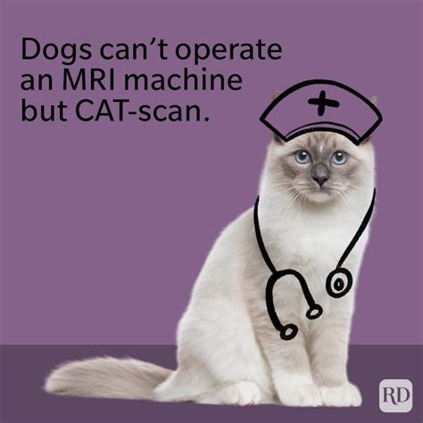 144 Doctor Jokes Medical Puns Hospital Jokes And More