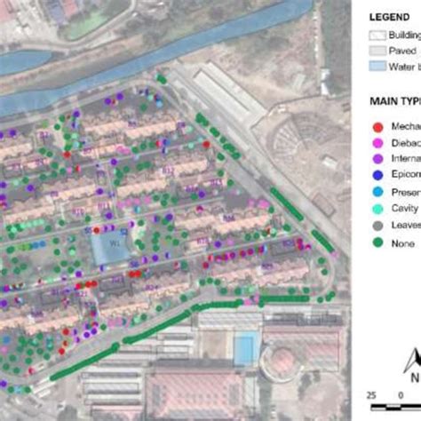 Seven Main Types Of Tree Defects Above The Ground Download Scientific Diagram