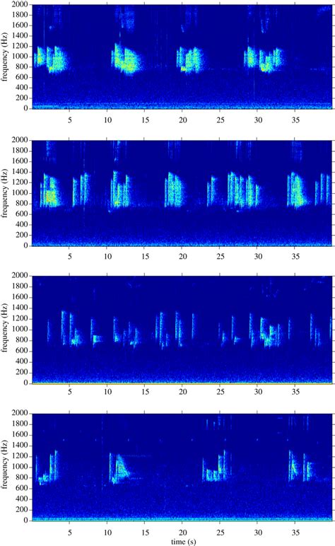 Representative Spectrograms Of 40 S Excerpts Of Solos From Four