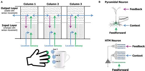 Amortized Variational Inference Via Learning Structured Priors In Neocortex By Farshad