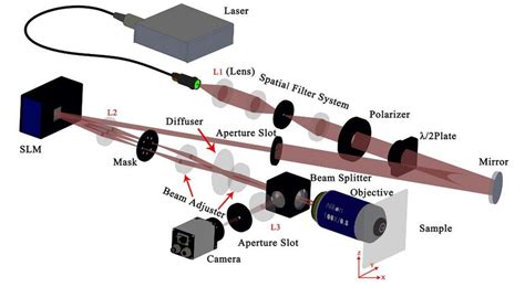 Principle Diagram Of Rls Sim Download Scientific Diagram