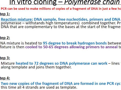 A Level Bio Recombinant DNA Technology Teaching Resources