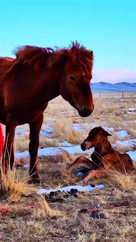 Ёстой л ханьдаа зориулсан дуу сайхан дуулсан By Бүг Го дуунууд Facebook