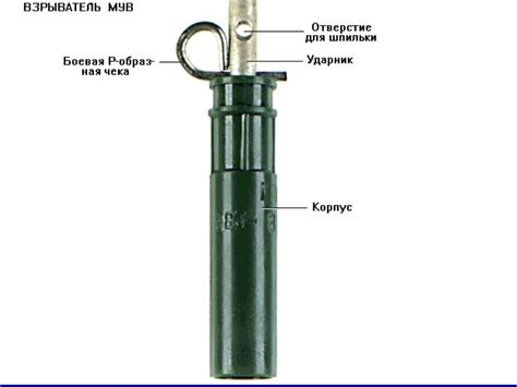 Презентация на тему Тема № 13