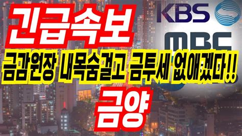 금양 주가전망 개인적으로 인터뷰 했습니다 Youtube