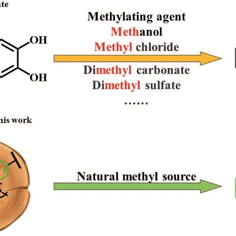 Production Route To Guaiacol A Traditional Route B New Route In Download Scientific
