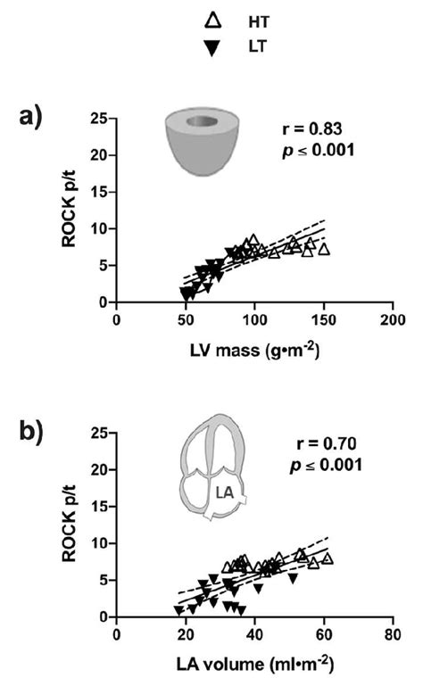Correlation Between ROCK Activity And Heart Remodeling Parameters A Download Scientific