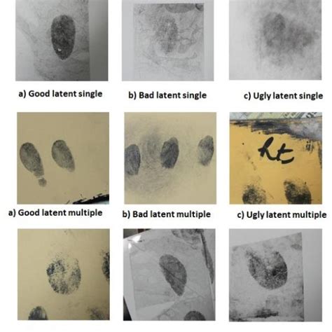 Categories Of The Latent Fingerprints From Iiit D Latent Fingerprint Download Scientific