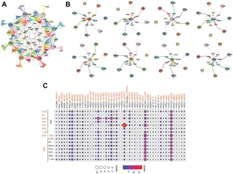 Extensive Crosstalk Networks In Human Femoral Head Tissue Cells A Download Scientific