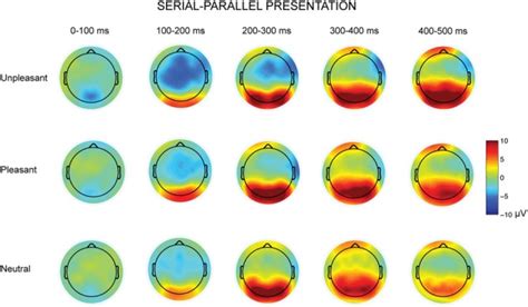 Topographic Maps Displaying The Scalp Distributions Of The Differences