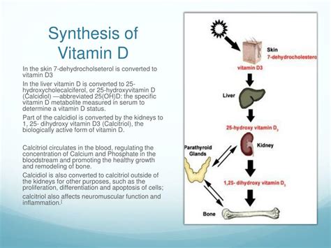 PPT - Vitamin D deficiency in children PowerPoint Presentation, free ...