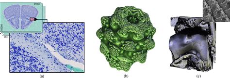 Figure 1 From Interactive Visualization And On Demand Processing Of
