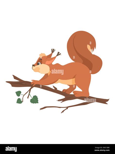 Cute Small Squirrel Jumping On Tree Branch Vector Stock Vector Image