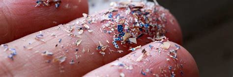 Microplastics In Your Testicles What To Know Cell Health News