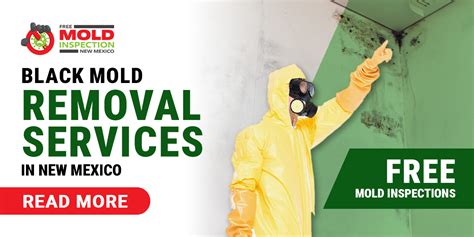 Black Mold Removal In New Mexico Get A Free Inspection Free Mold