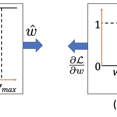 fake quantization forward and backward pass with straight through
