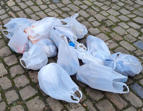 Plogging › Realschule Diepholz