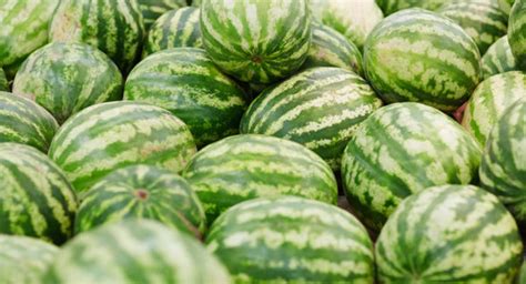 Ціни на кавуни в Україні зростають цифри Фінанси Bigmir Net