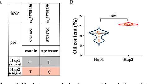 Figure From GWAS And WGCNA Analysis Uncover Candidate Genes Associated With Oil Content In