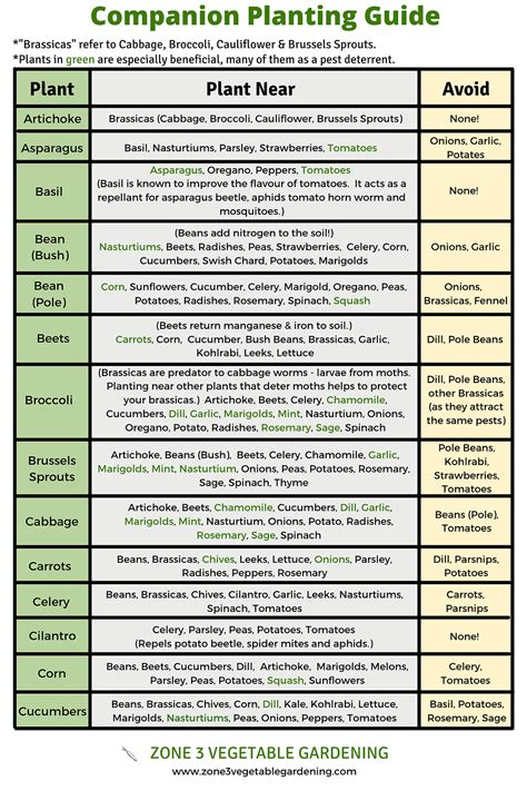 Printable Herb Companion Planting Chart