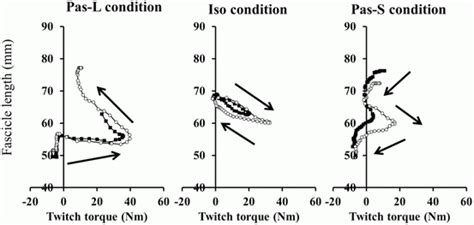 Can A High Intensity Contraction Be Enhanced By A Conditioning