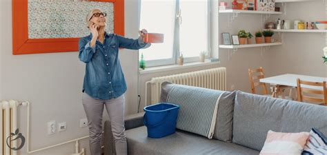 How To Test Your Home For Mold Blog