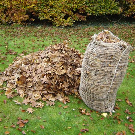 Biodegradable Jute Leaf Sacks Thompson And Morgan