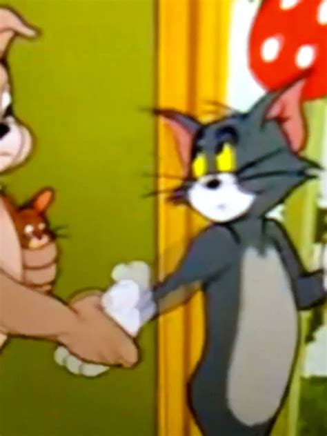 Stupid😹tomandjerry Shorts Youtube