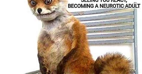 Gee I Dunno Could Be That My Brain Boils Over With Every Stress Hormone At Mach 3 Album On Imgur