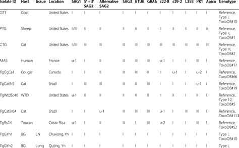 Summary Of Genotyping Of Toxoplasma Gondii Isolates From Yunnan Black Download Table