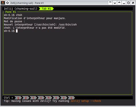 I Cant Get Zsh When I Open Alacritty With Crontab Rlinux4noobs