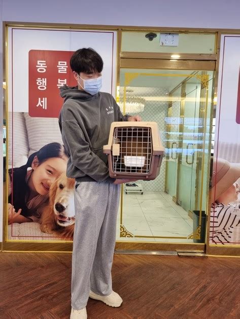 아비시니안 일년이 강아지책임분양 고양이책임분양 유기견책임분양 유기묘책임분양 연예인강아지분양하는곳 연예인고양이분양하는곳 골댕이무료분양 강아지입양보내기 고양이입양보내기 강아지