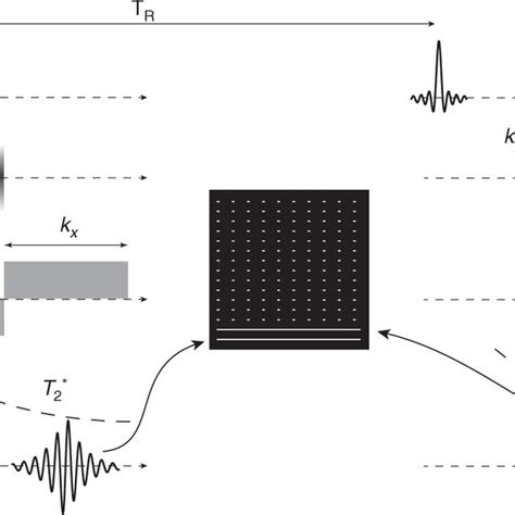 Gradient Echo Sequence Pulsed Field Gradients Generate K Space Download Scientific Diagram