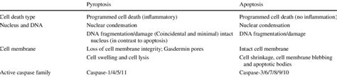 Fundamental Features Of Pyroptosis And Apoptosis Download Scientific