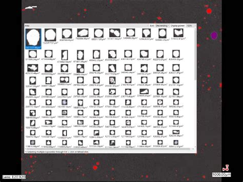Individual Air Void Analysis Display Download Scientific Diagram