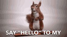 Hello Funny 