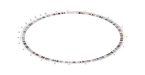 GitHub Shivani Circos Plot