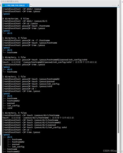 Linus作业2 Csdn博客
