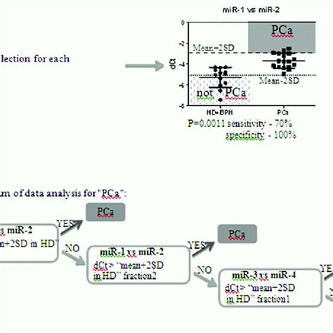 Scheme Of Data Analysis For Assured Detection Of Pca Patients A