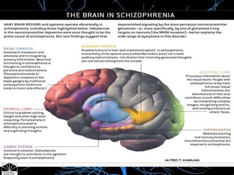 Schizophrenia And Genetic
