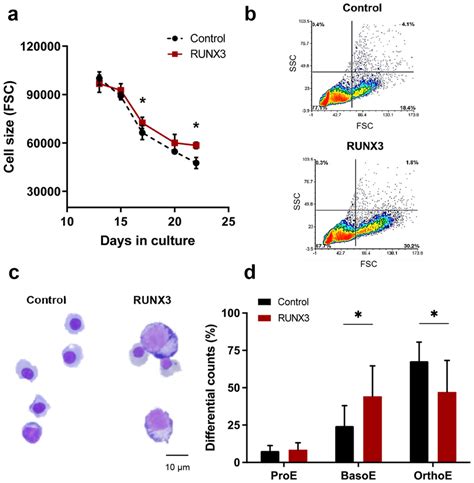 RUNX Overexpression Inhibits Terminal Erythroid Differentiation A Download Scientific