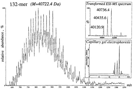 Negative Esi Mass Spectrum Of A Synthetic Dna 132 Mer